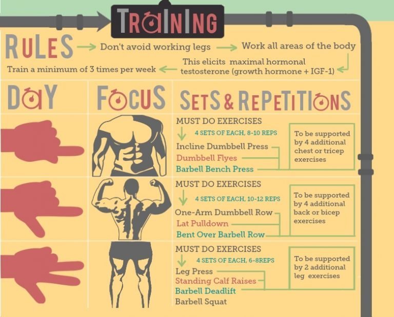 The Fast Track To Gain Muscle For Beginners - Fitneass