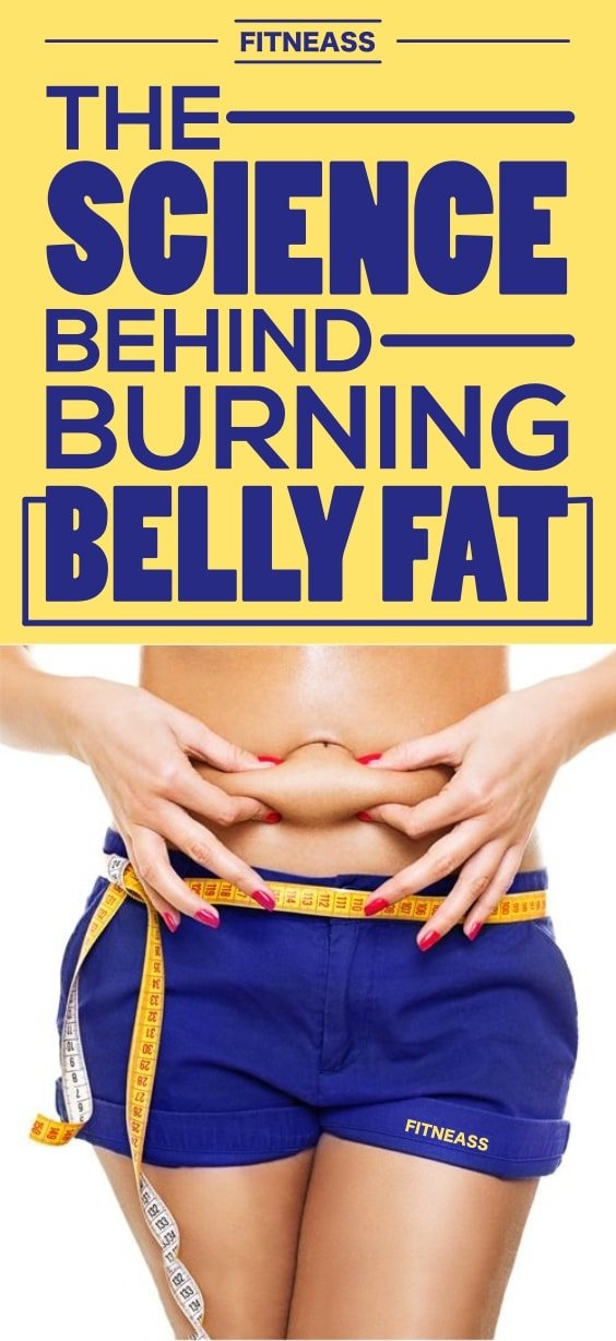 The Science Behind Burning Your Belly Fat Fitneass