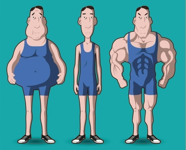 HGH - Human Growth Hormone For Weight Loss And Muscle Building - Fitneass HGH - Human Growth Hormone For Weight Loss And Muscle Building - Fitneass