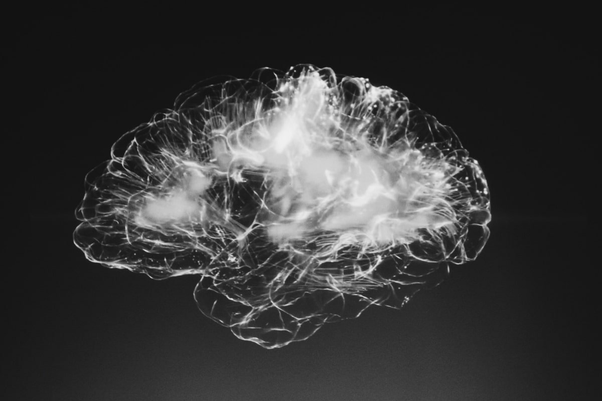 How To Boost Brain Function Memory And Focus Fitneass how-to-boost-brain-function-memory-and-focus-fitneass